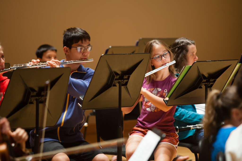 Georgia Youth Symphony Orchestra auditions will be held virtually this ...