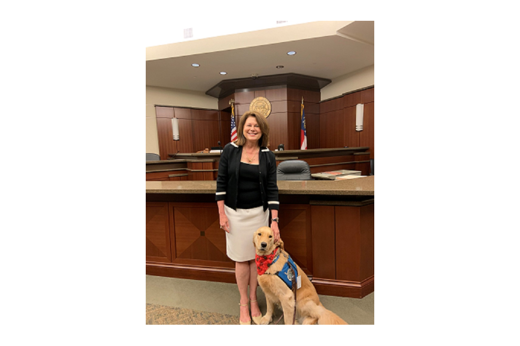 New judicial assignments to Cobb Accountability Courts - Cobb Courier