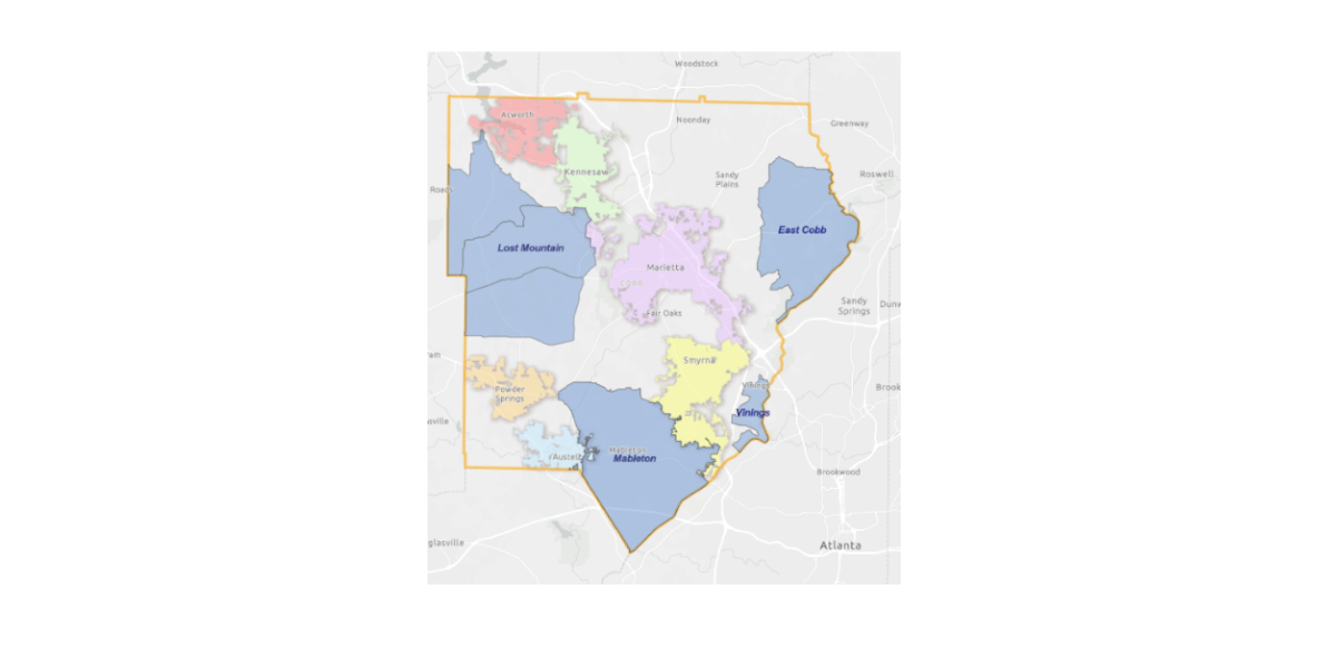 Rushed and skeptical voters give thumbs down to three proposed Cobb ...