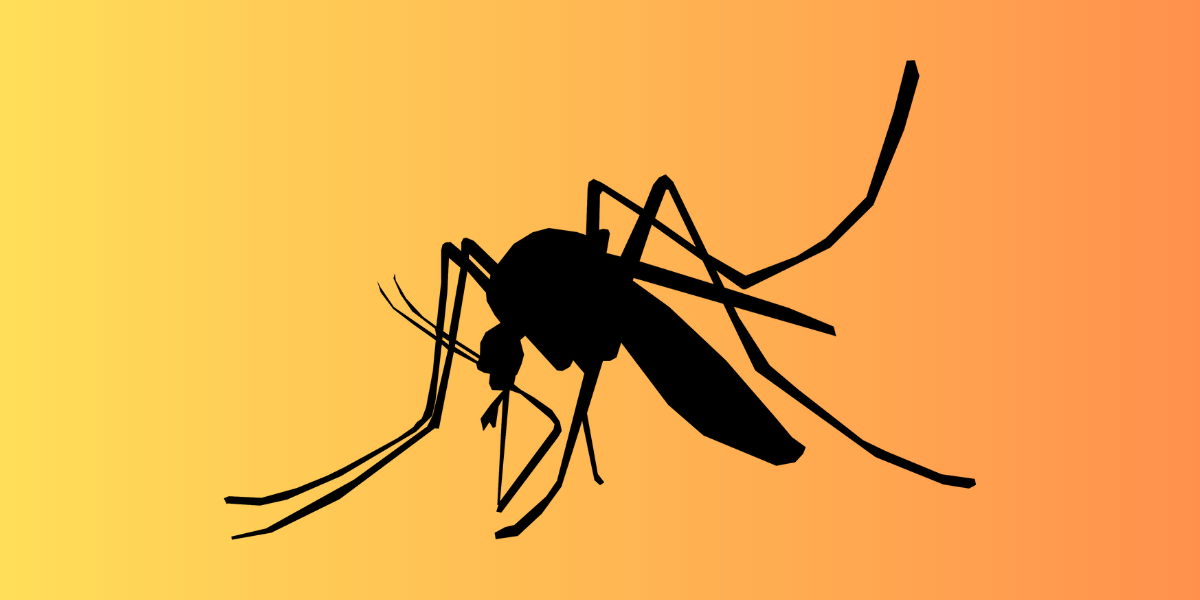 Malaria Cases on the Rise in the U.S., Georgia Residents Urged to Take ...