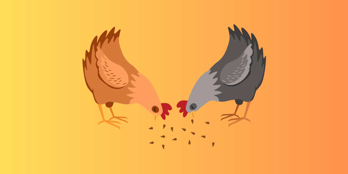 Kennesaw denies homeowner’s appeal for 20 backyard chickens - Cobb Courier