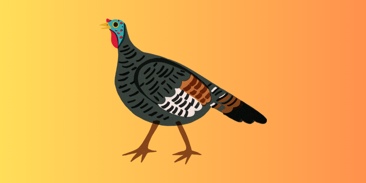 Digitized records from wildlife centers show the most common ways that ...