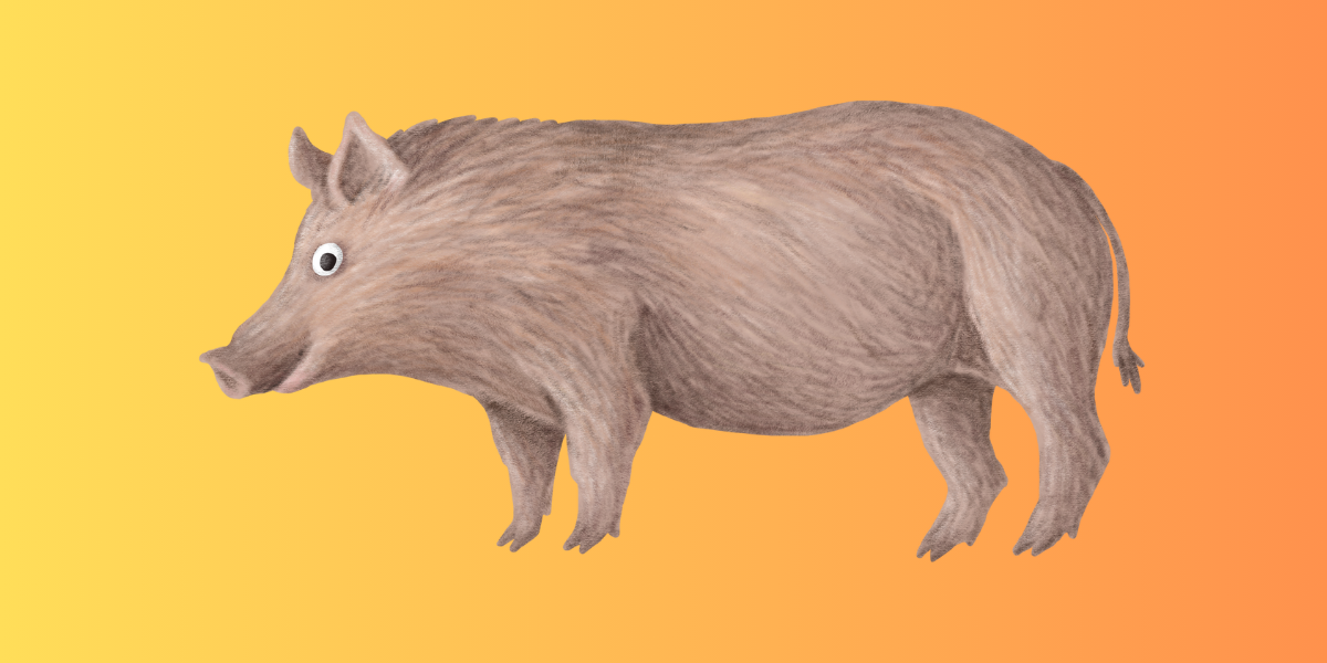 Wild ‘super pigs’ from Canada could become a new front in the war on ...