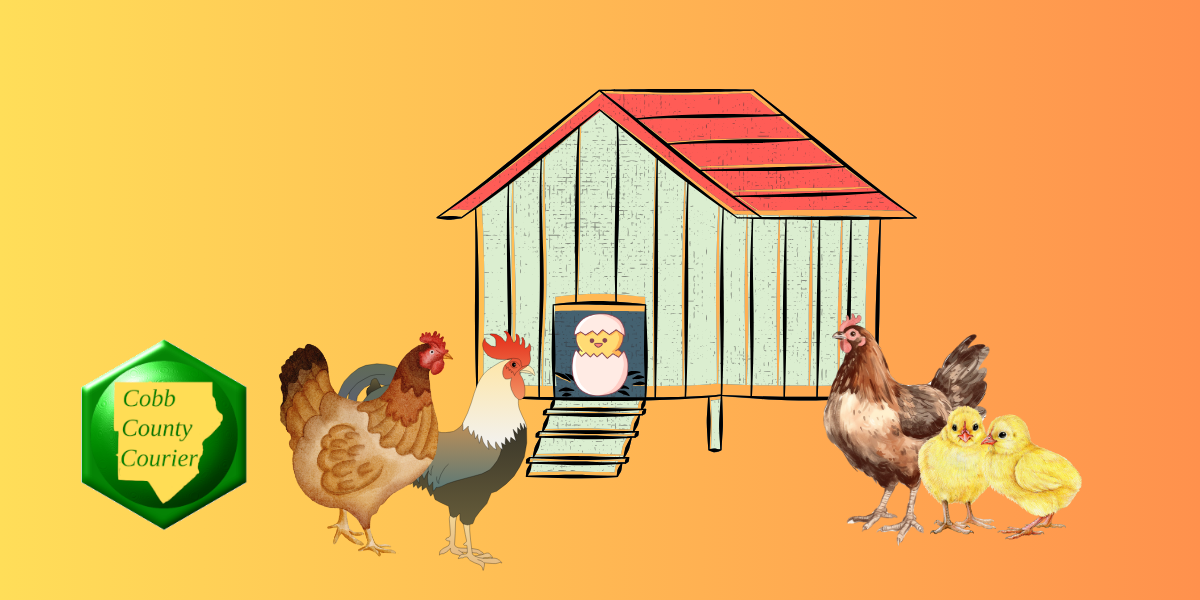 Cobb's agricultural past: a 1907 poultry show - Cobb Courier