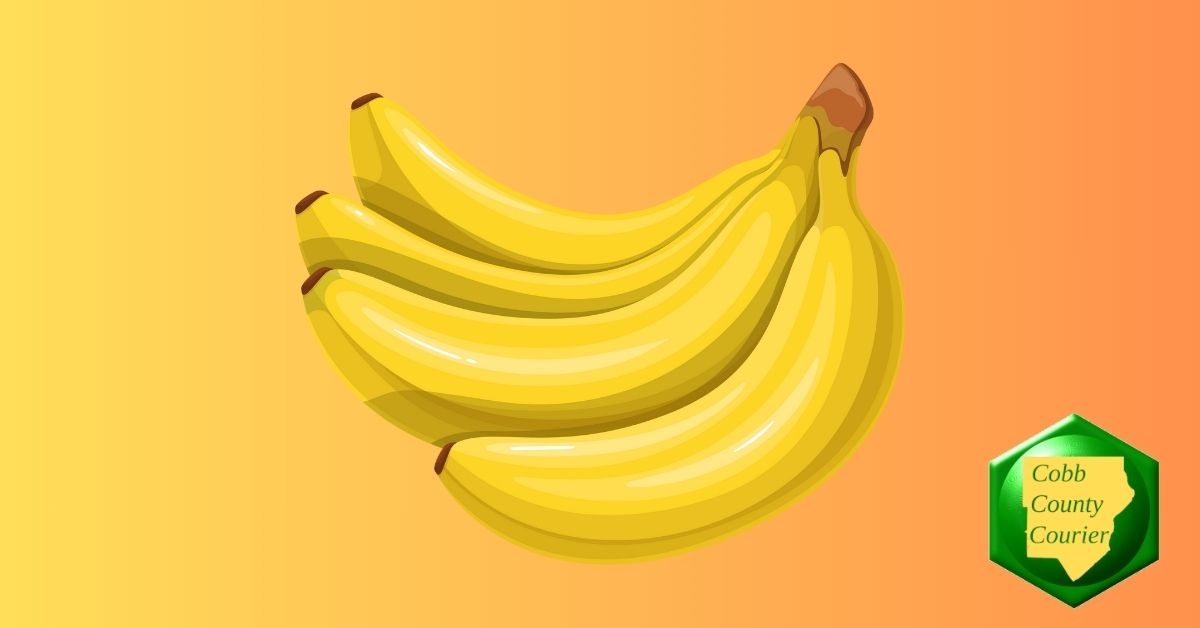 Banana apocalypse, part 2 – a genomicist explains the tricky genetics ...