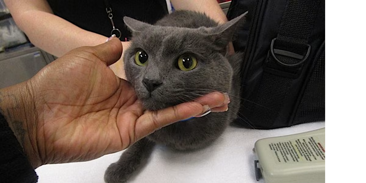 "My name is Arden, and I'm wide-eyed with amazement!" - Cobb Courier