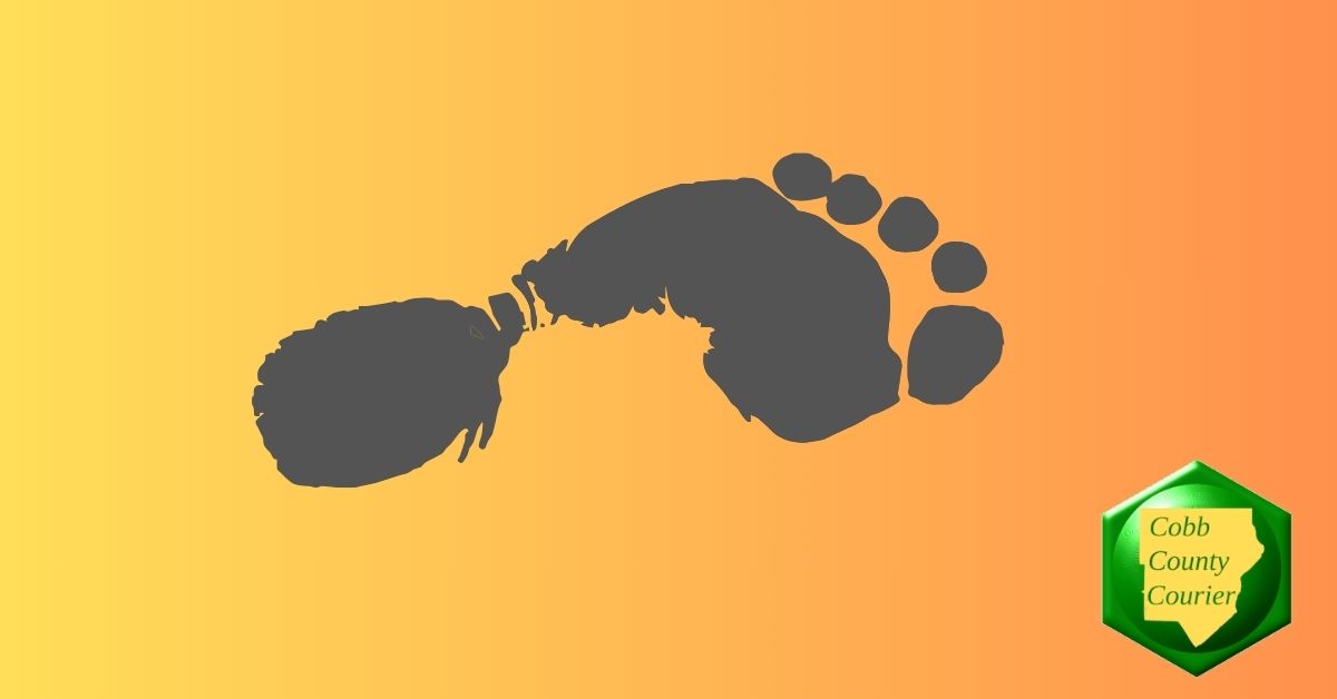 Fossilized footprints reveal 2 extinct hominin species living side by ...