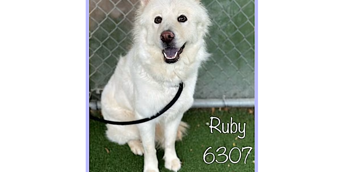 "I'm Ruby, and if there's another snow here I'll blend right in ...