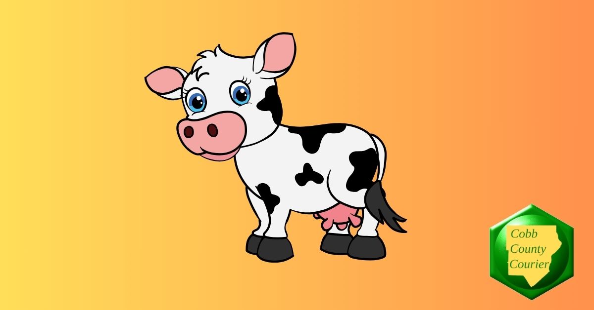 In 1906, an Acworth dairy farm had most productive cow in U.S. - Cobb ...