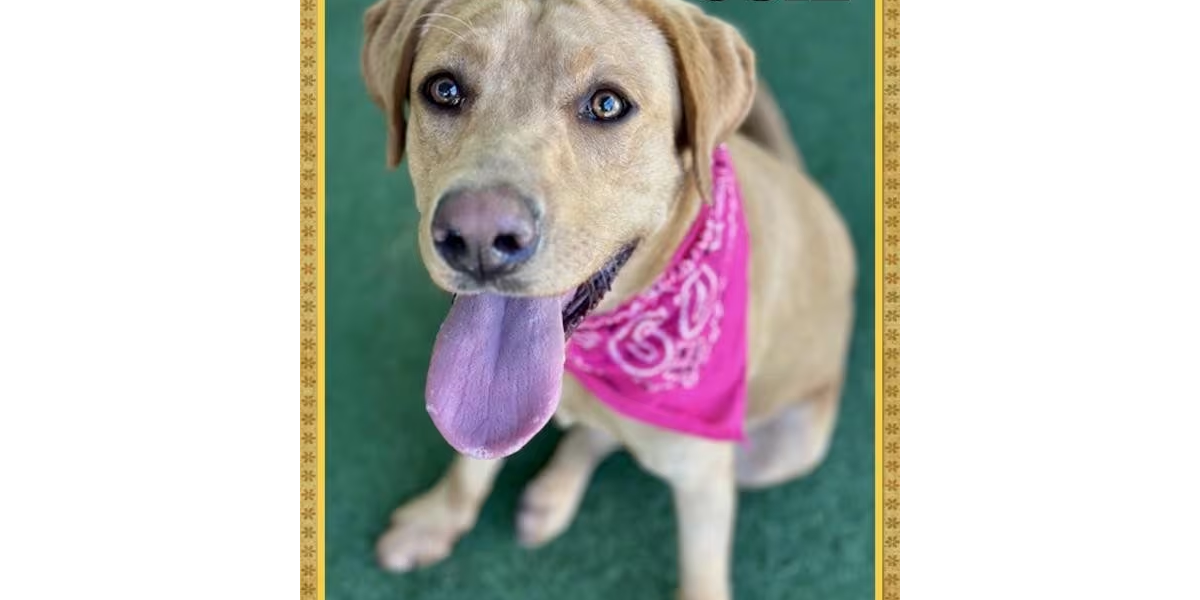 "My name is Sunny, and I'm so excited about the prospect of going home ...
