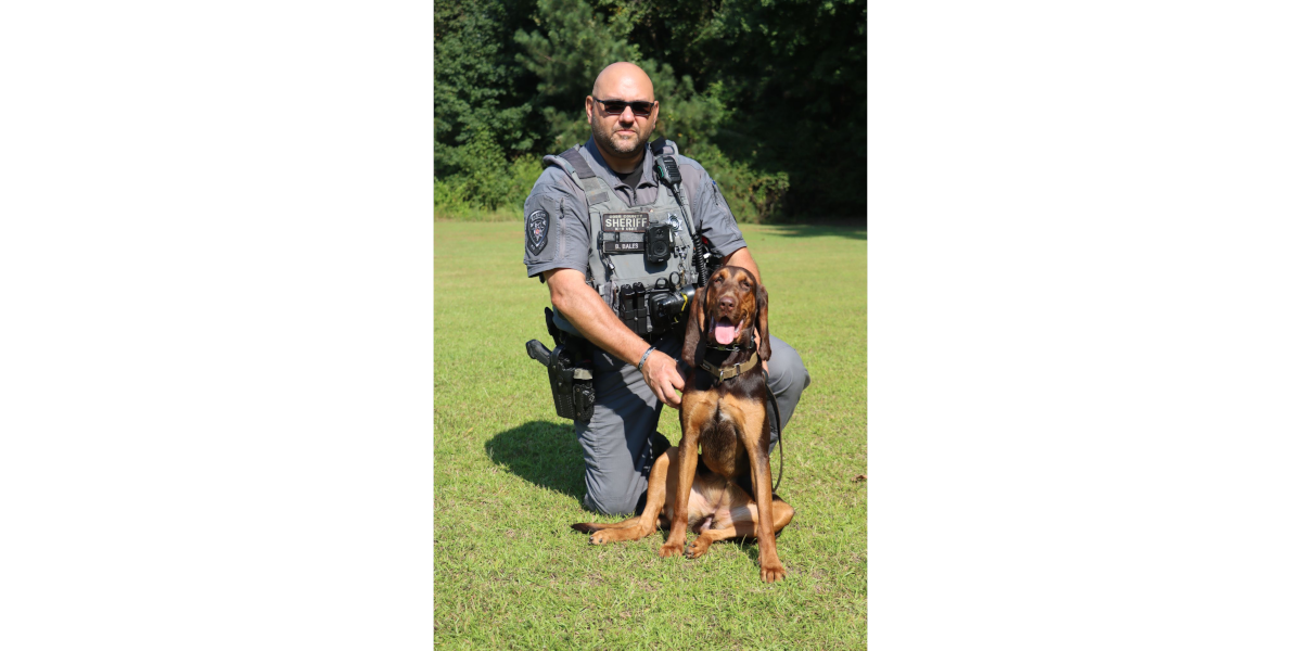 The Cobb Sheriff's Office introduces K-9 bloodhound Liberty - Cobb Courier
